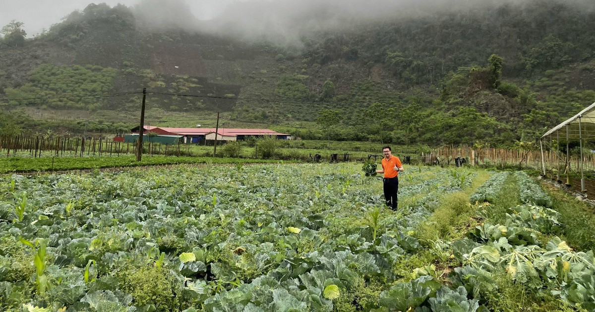 Giải quyết lo ngại mua sắm thực phẩm online với mô hình tiên tiến của ...