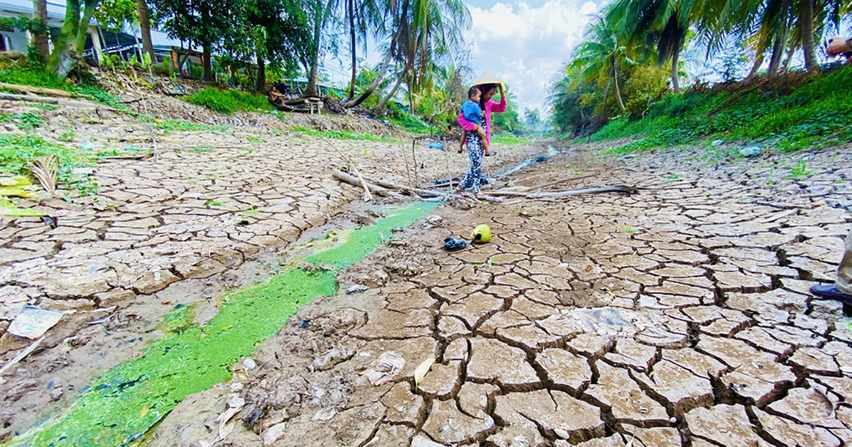 Nông sản 'ngấm đòn' biến đổi khí hậu