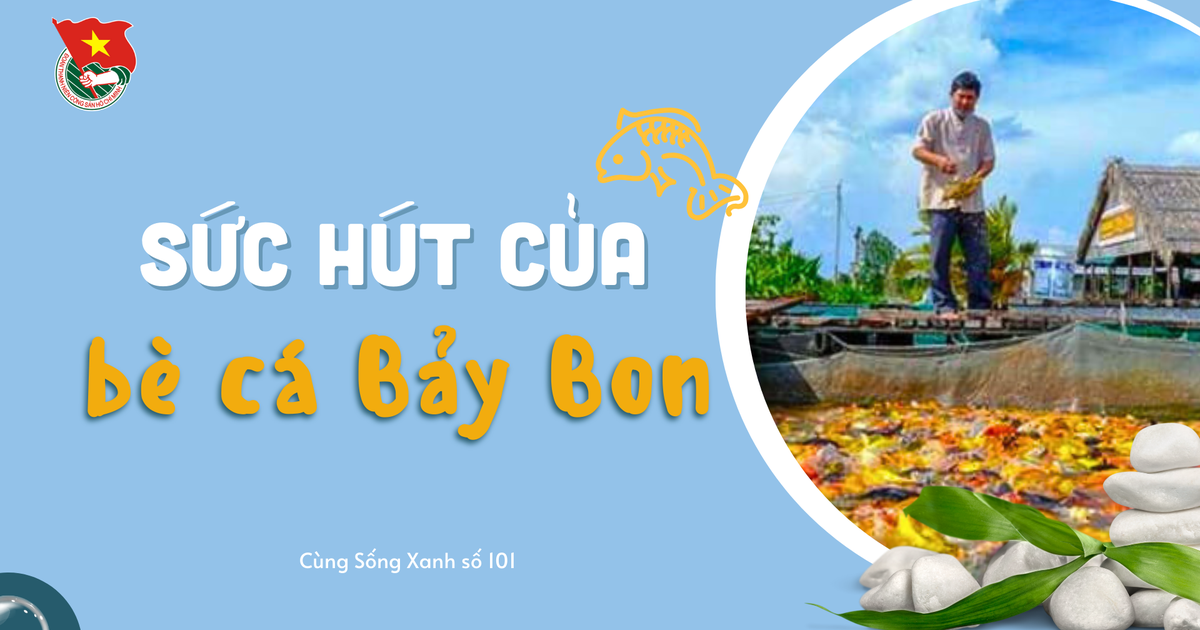 Cùng sống xanh số 101: Giữ chân du khách bằng giải pháp tạo môi trường ...
