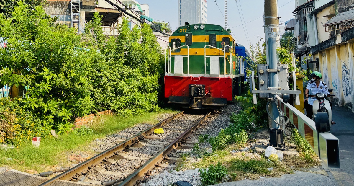 Hẻm Sài Gòn đón tết: Xóm đường rày xe lửa xanh mướt, 'thay da đổi thịt'