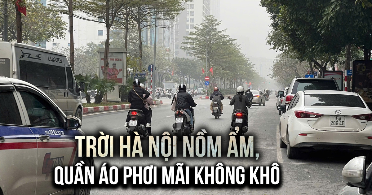 Trời nồm ẩm, quần áo phơi mãi không khô, người Hà Nội than 'khó chịu vô ...