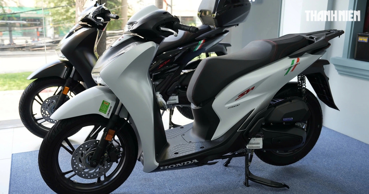 Honda SH Ý bản độc, số đẹp: Trào lưu mới của giới chơi xe tại Việt Nam