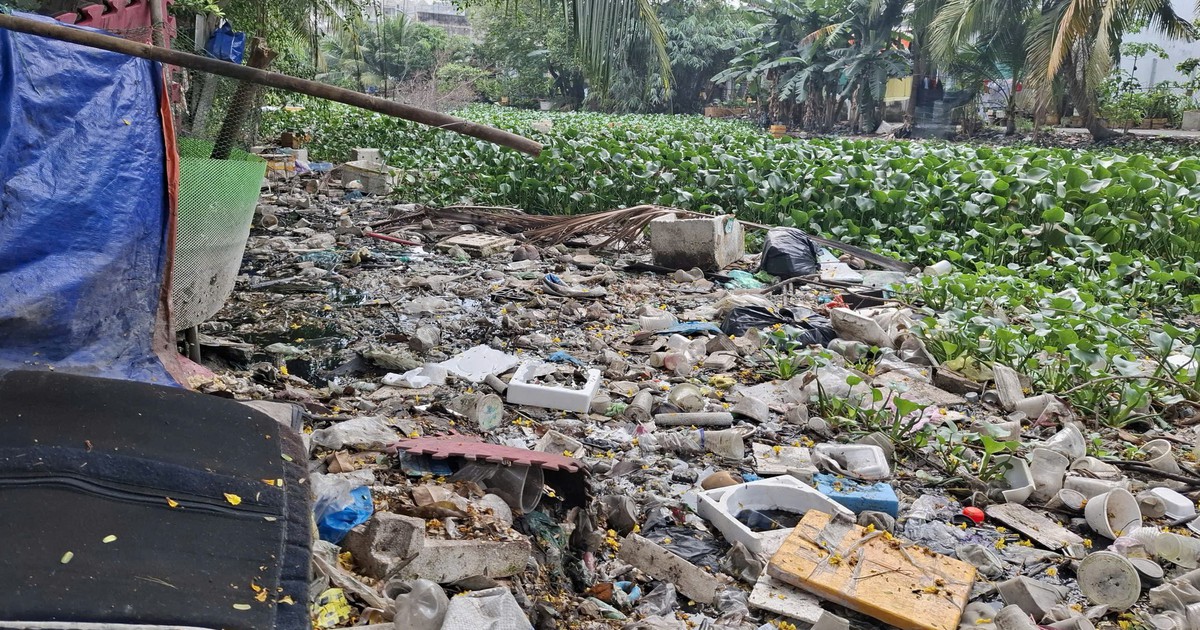 Kênh rạch tắc nghẽn vì rác và cỏ dại