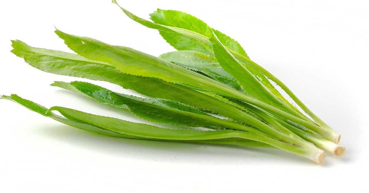 Lợi ích tuyệt vời của lá ngò gai