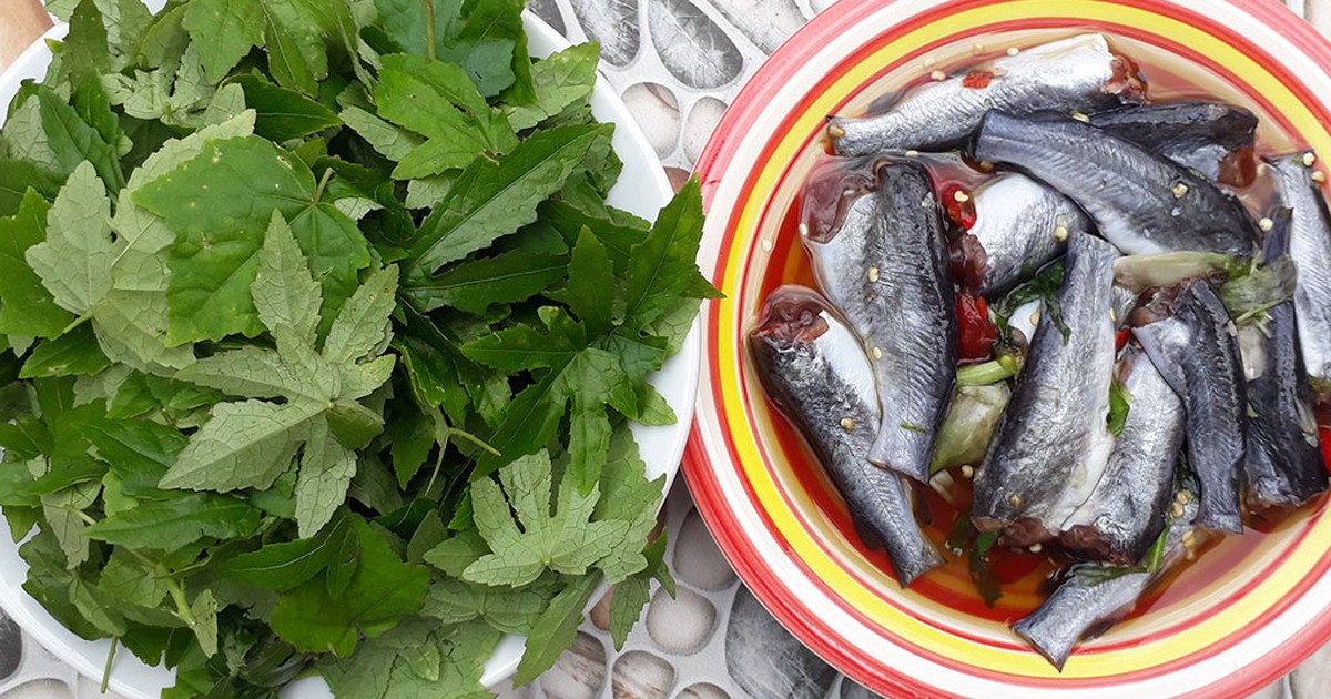 Thao thức canh rau chua xứ Quảng
