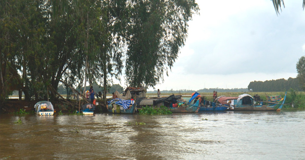 Miền Tây 'ngóng' mùa lũ đẹp