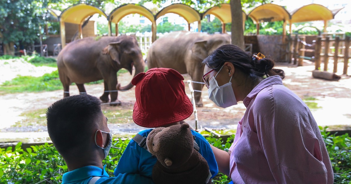 'Trẻ con biết gì' - phụ huynh đừng dễ dãi trước hành động nghịch ngợm ...