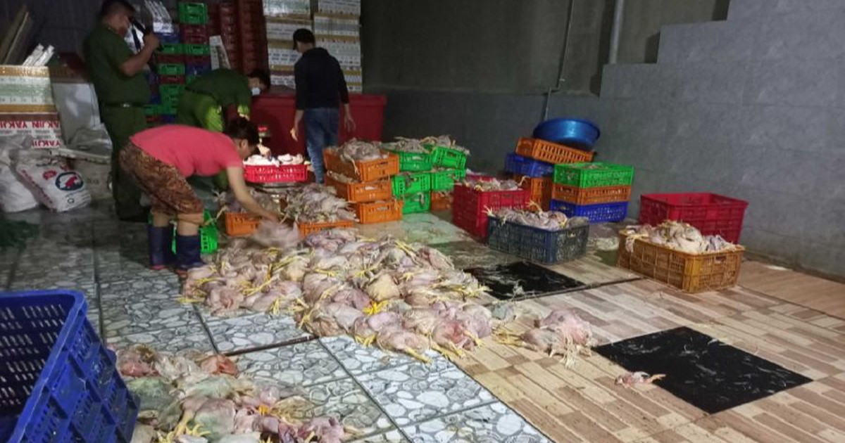 Đồng Nai: Mua gà chết về chế biến rồi bán cho các cơ sở làm giò, chả