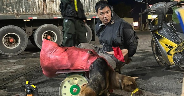 CSGT truy đuổi hơn 6 km bắt kẻ trộm chó ở Bình Phước