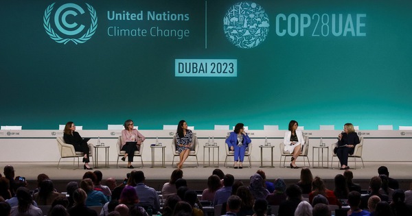 Việt Nam, Đan Mạch kỳ vọng gặt hái từ COP28