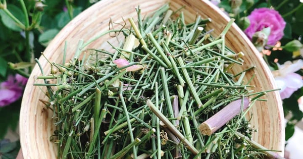 Bí quyết dùng lá mùi già để nhà cửa luôn thơm dễ chịu