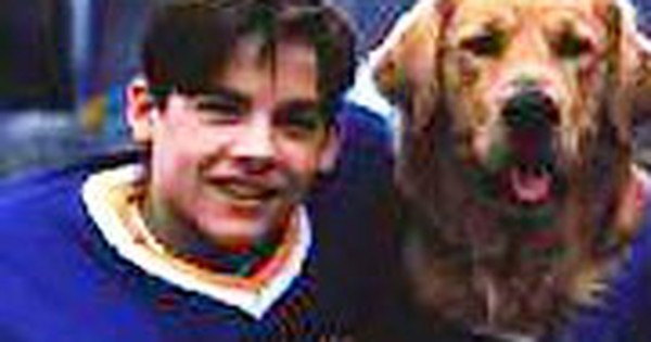 Kết thúc phim Chú chó Buddy (VTV3): Câu chuyện của lòng yêu thương...