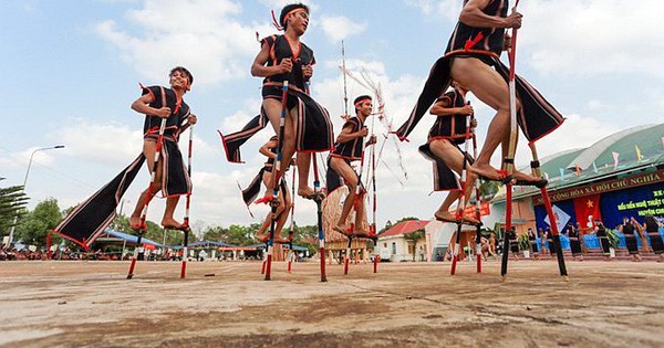 Cà kheo của Việt Nam từng xuất hiện ở Hy Lạp từ 500 năm trước Công nguyên?