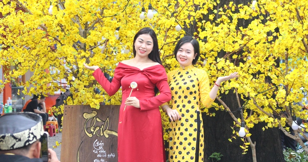 Gái Xinh Xuống Phố Chụp Hình Với Không Gian Tết Rực Rỡ Mai Vàng Tuyệt đẹp