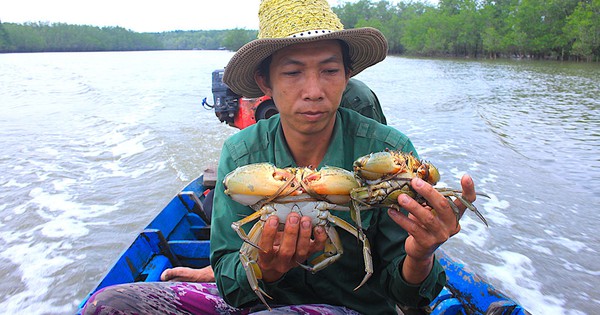 Bàn cách phát triển Cần Giờ