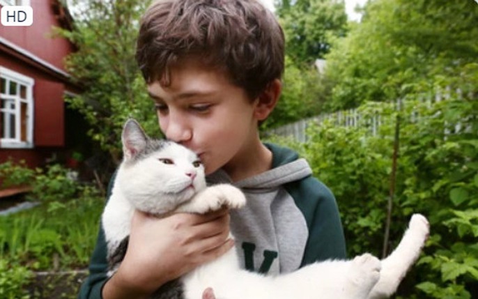 Tổng hợp 7 con mèo đáng yêu nhất