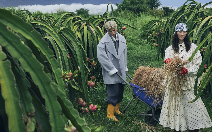 Fanci Club: tin tức, hình ảnh, video, bình luận mới nhất